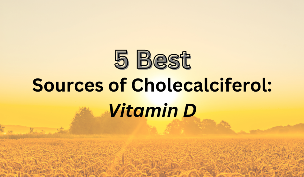 5 Best Sources of Cholecalciferol: Vitamin D - Cancer Guide Research ...